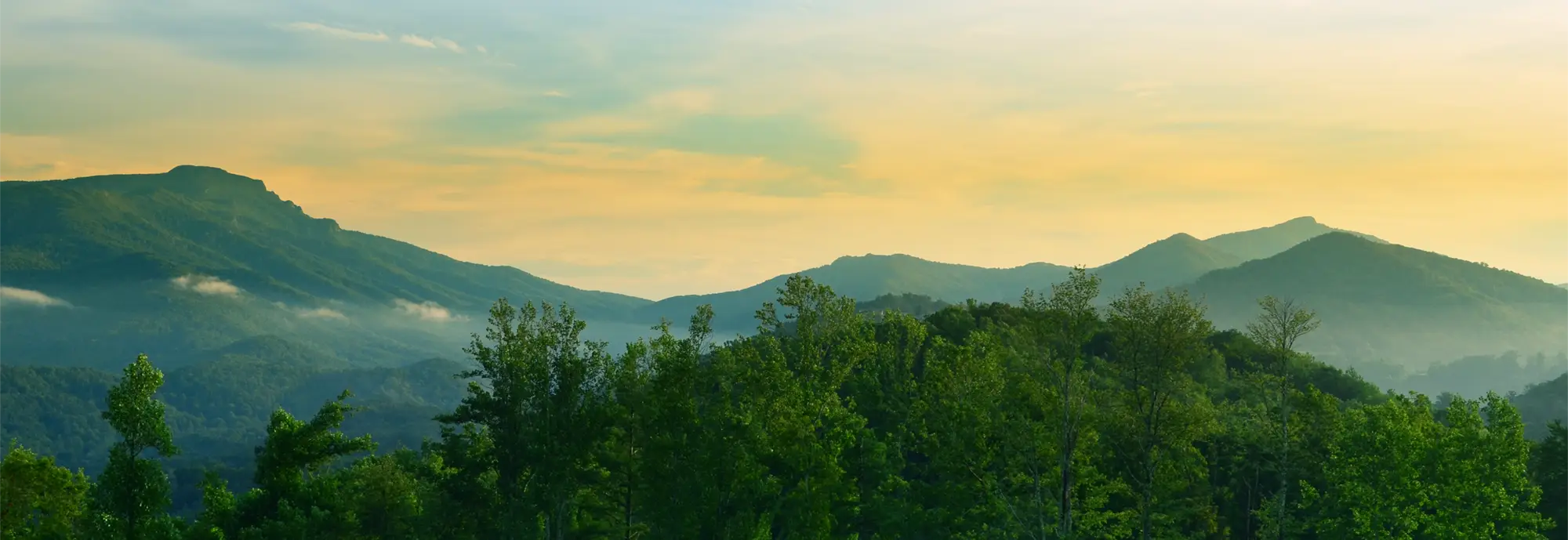Legacy Ridge | Echota